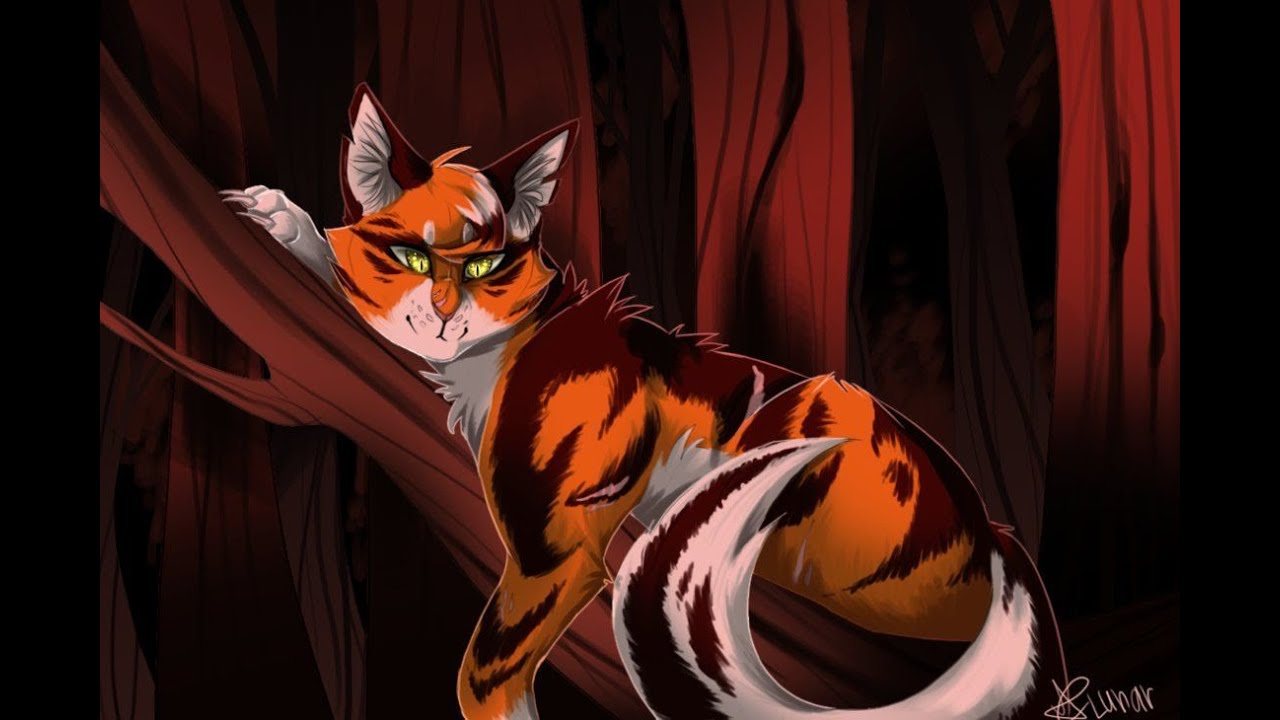 Les plus beaux chats de LGDC partie 2 - YouTube