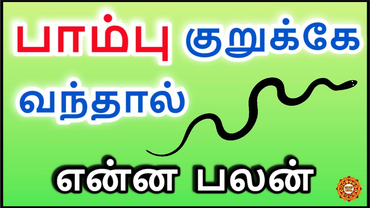 பாம்பு குறுக்கே சென்றால் என்ன பலன் | pambu kuruke vanthal enna palan ...