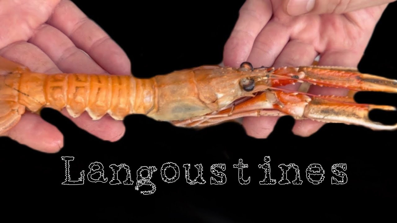 An credible recipe for LANGOUSTINES!!! Delicious food!!! - YouTube
