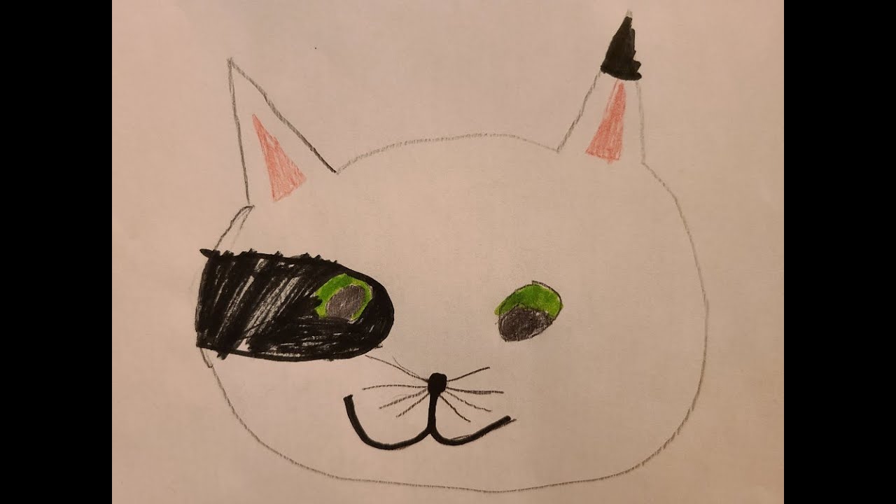 Hannah cat toys - YouTube