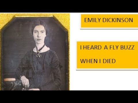 I HEARD A FLY BUZZ - WHEN I DIED BY EMILY DICKINSON - YouTube