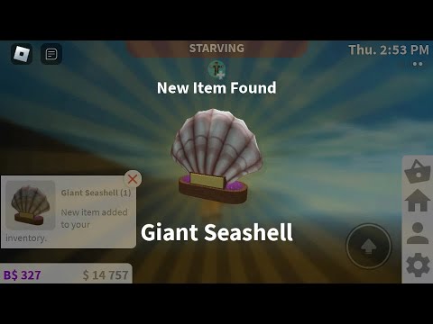 How to get the Giant Seashell Trophy in BLOXBURG | Roblox - YouTube