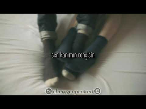 Love Me Like You Do - Ellie Goulding (Türkçe Çeviri)