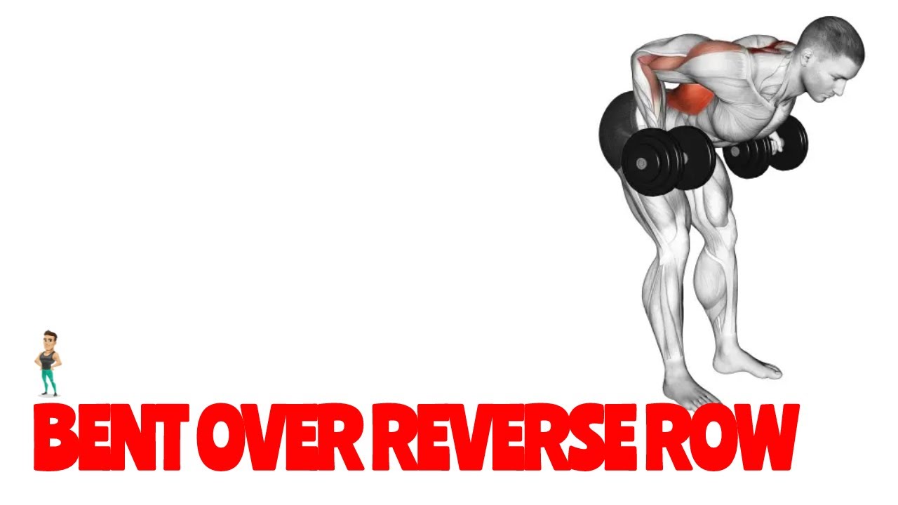 BENT OVER REVERSE ROW - YouTube