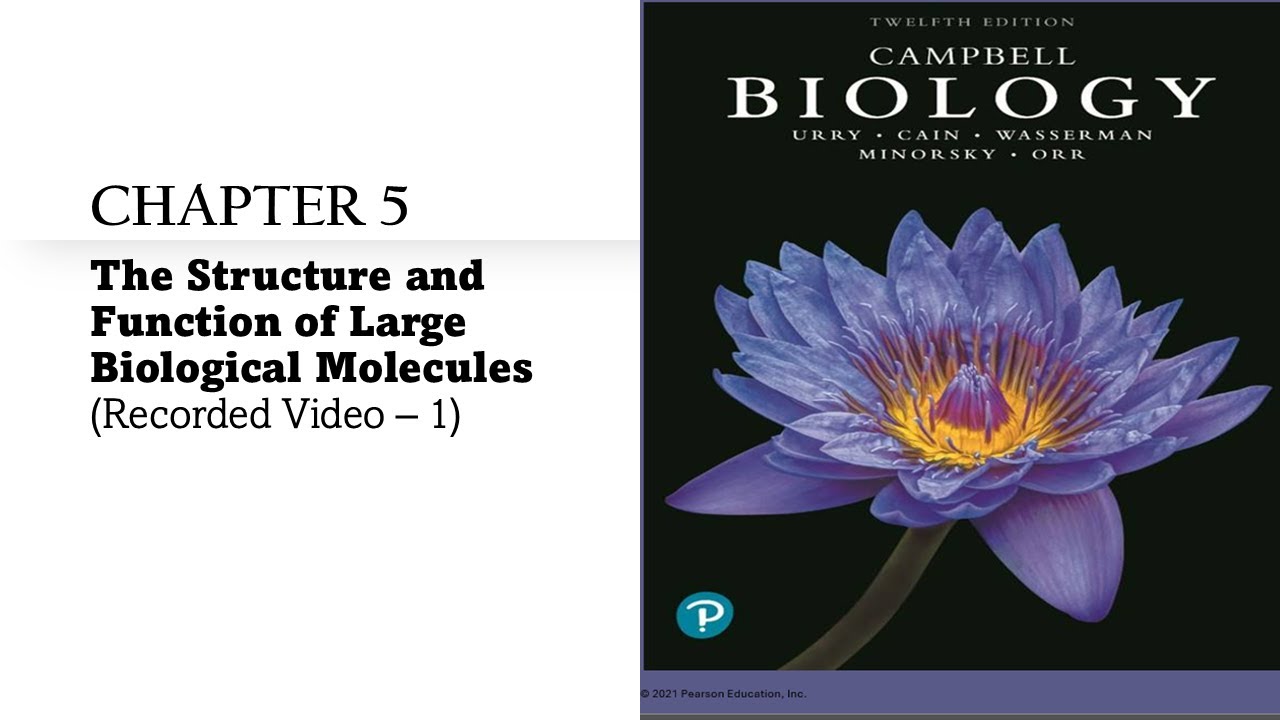 Lecture 5 Structure and Function of Large Biological Molecules Recorded Video 1 - YouTube
