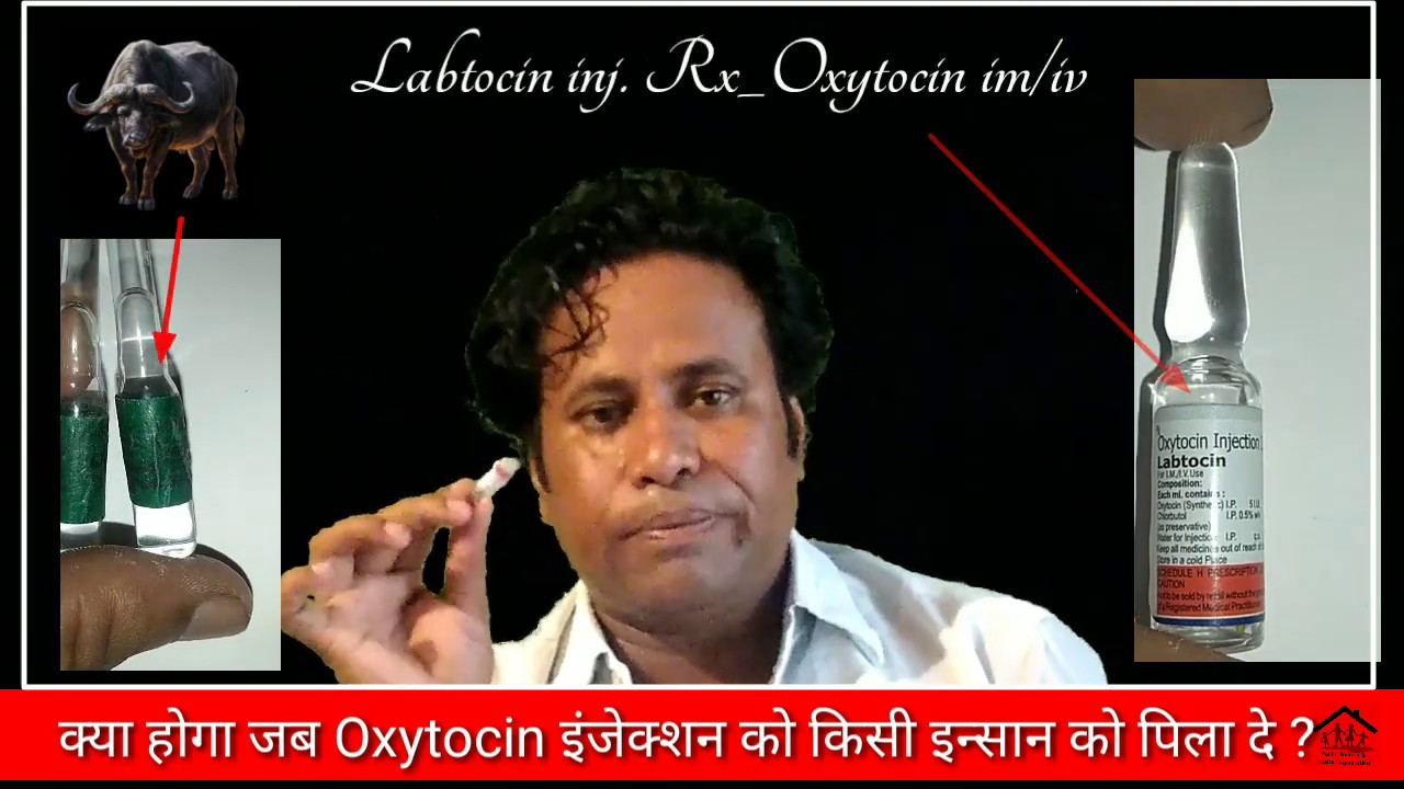 Labtocin inj. Rx_Oxytocin , क्या होगा जब इस inj को , जानवरों को लगने ...