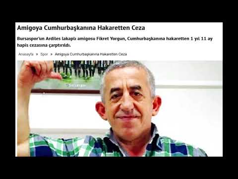 Cumhurbaşkanı Recep Tayyip Erdoğan'a Hakaret Davaları