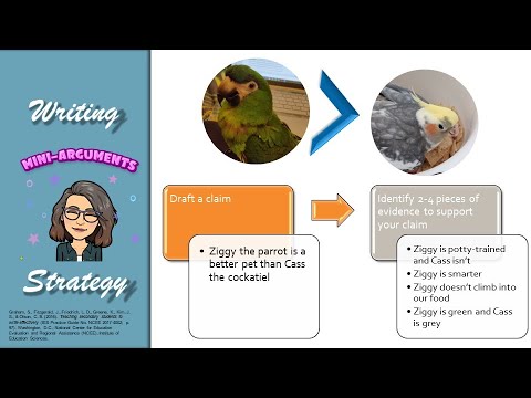 Writing mini arguments strategy - YouTube
