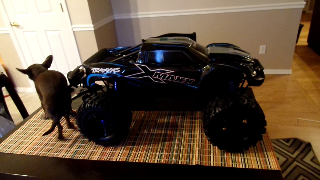 Xmaxx Body