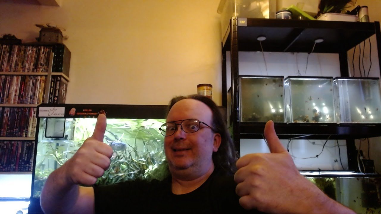 Sunday Sharpe: Manflu survivor - YouTube