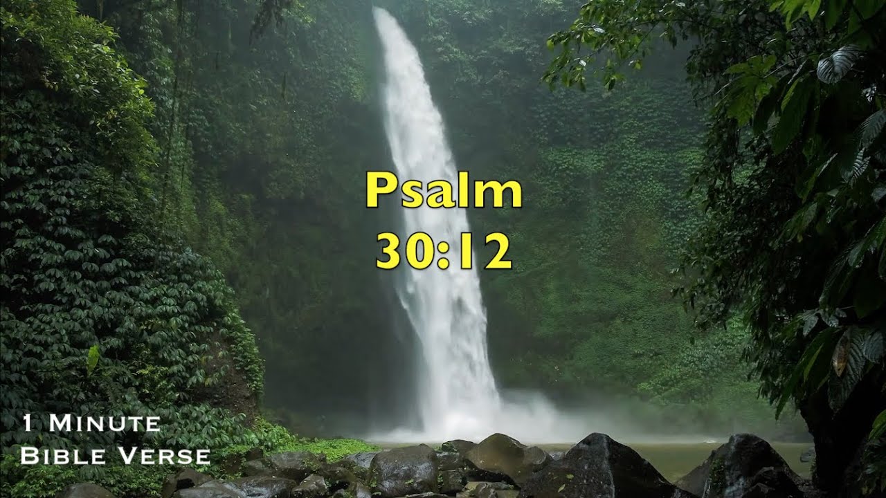 Psalm 30:12 | A Scripture Verse That Was On My Heart | Don Salmon Music - YouTube