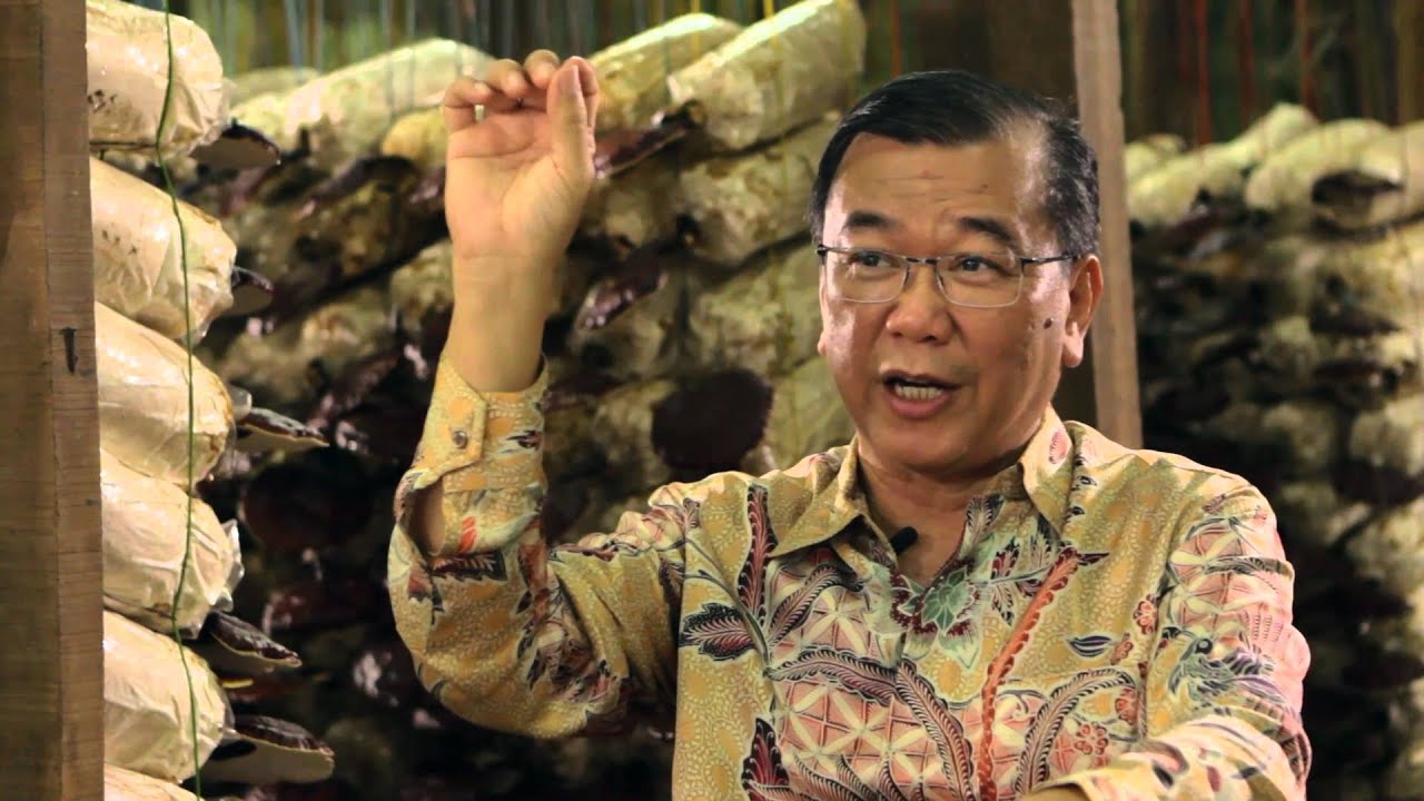 DXN: entrevista Dr. Lim y el ganoderma (en español) - YouTube