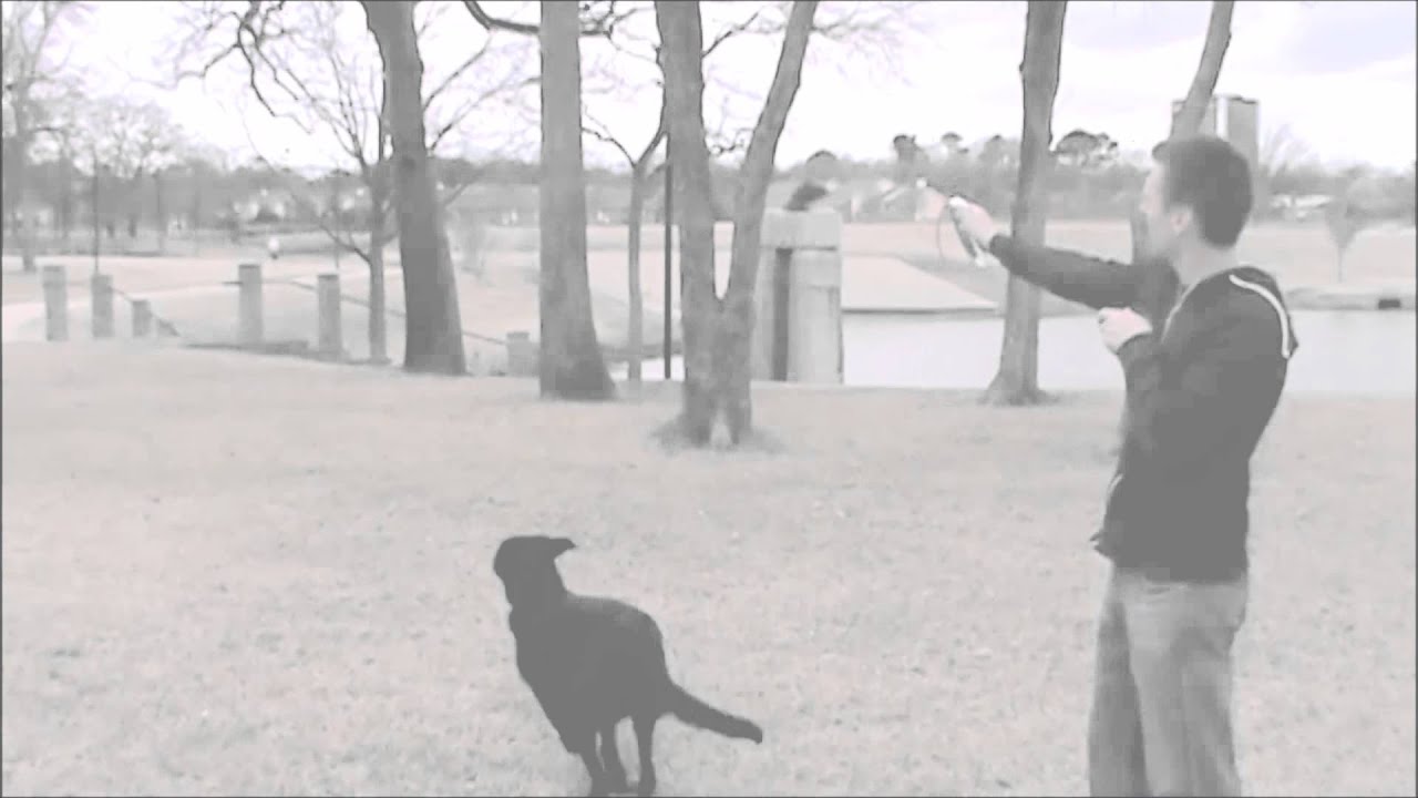 Chuckit Ultra Sling & Dart - YouTube