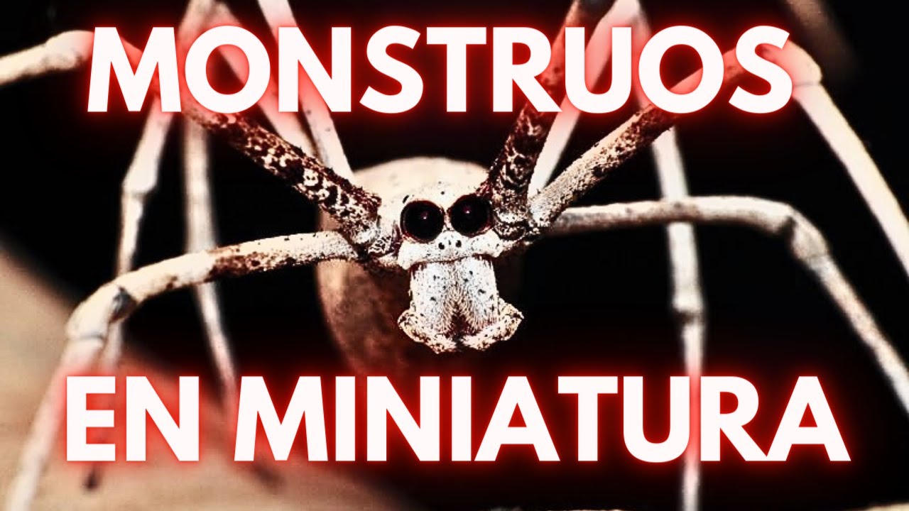 MONSTRUOS EN MINIATURA: TOP 6 horrores del mundo de los insectos - YouTube