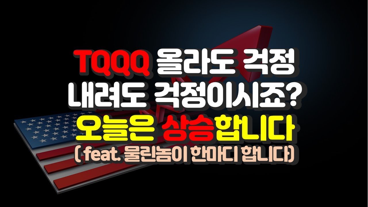 2억 투자자입니다. TQQQ 걱정/고민해결이 필요할 때 꺼내보세요. (티큐 1053개 보유중) - YouTube