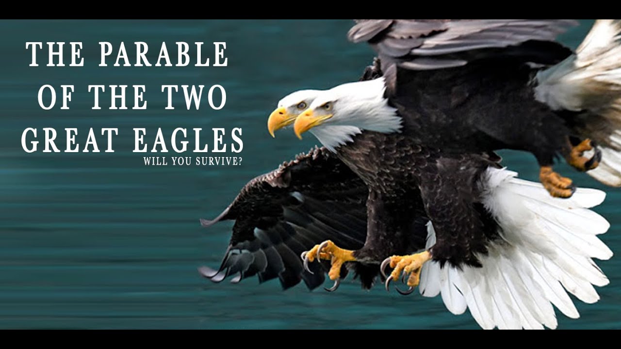 The Parable Of The Two Eagles - YouTube