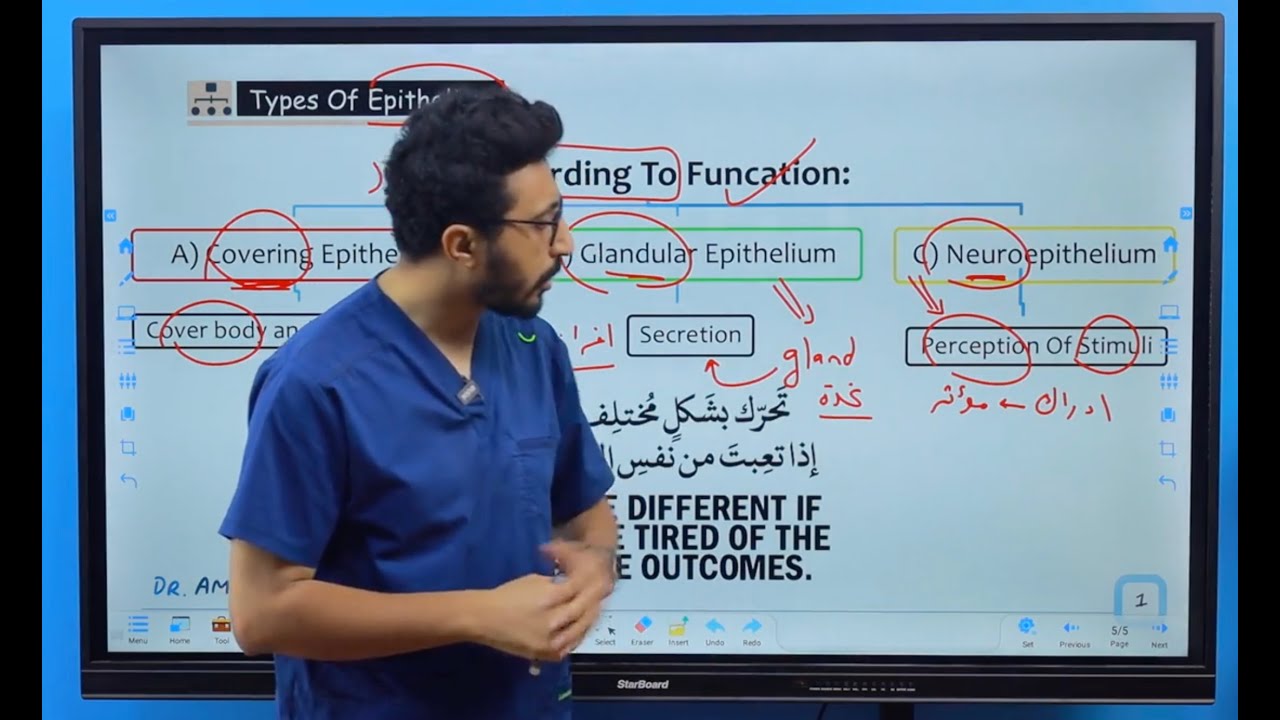 Epithelium - General Histology Lec 4 Part 1 - Dr Amro Ashraf - YouTube