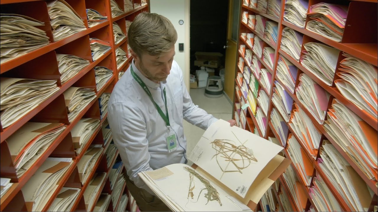 RSI Project at Missouri Botanical Garden Herbarium - YouTube