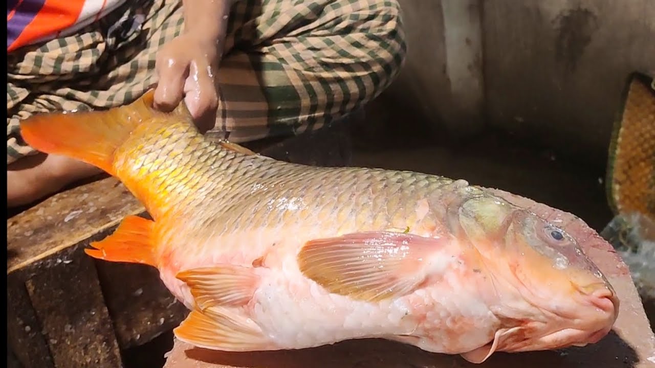Satisfying Cutting Skills | Giant Carp fish Cutting Skills In expert ...