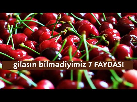 Qırışları azaldır, gilasın bilmədiyimiz 7 FAYDASI