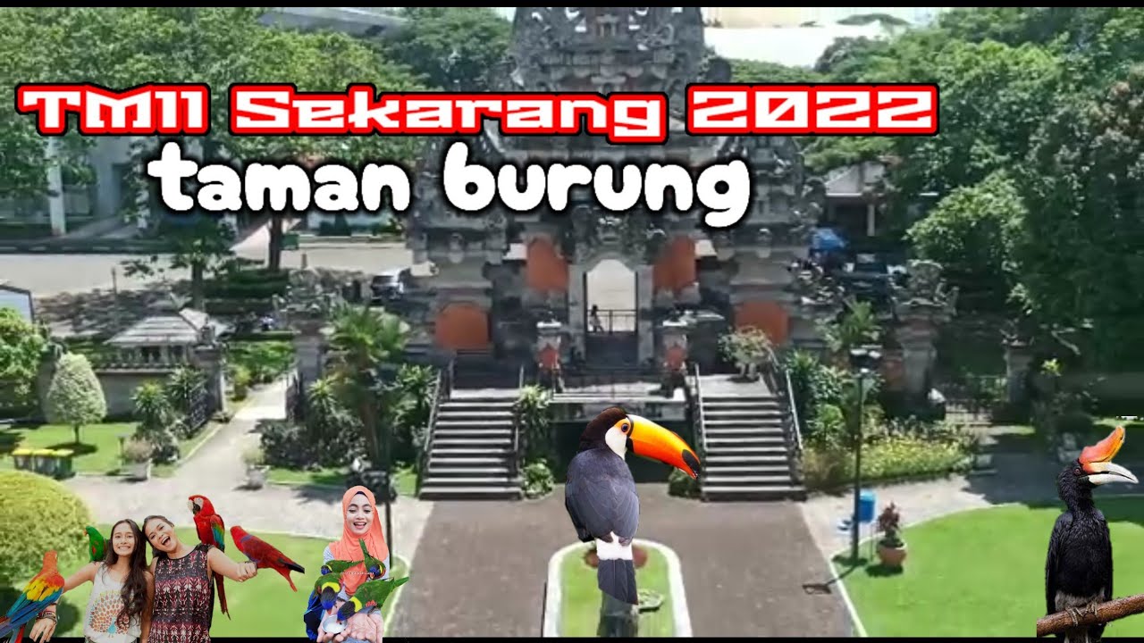 tmii sekarang 🔴 keseruan di taman mini indonesia indah taman burung [4K ...