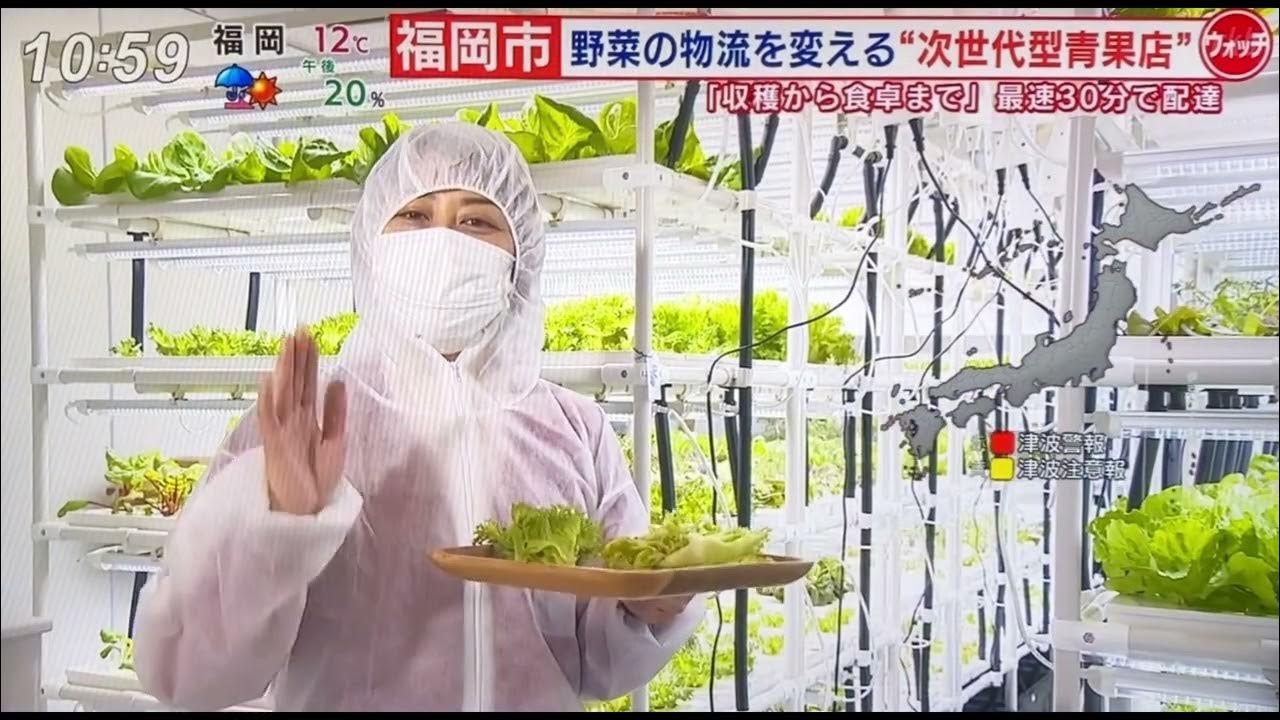 RKB「サンデーウォッチ」【GG.SUPPLY】 - YouTube