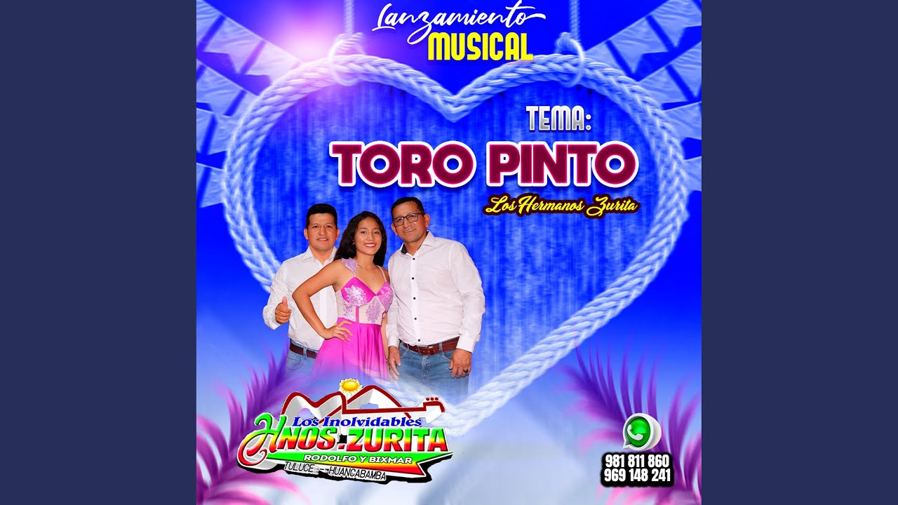 TORO PINTO - YouTube