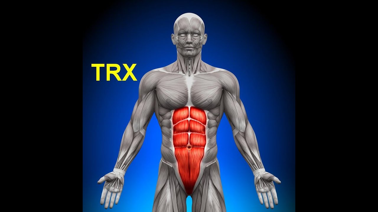 TRX cviky na břišní svaly (exercises abdominal muscles sixpack ABS ...