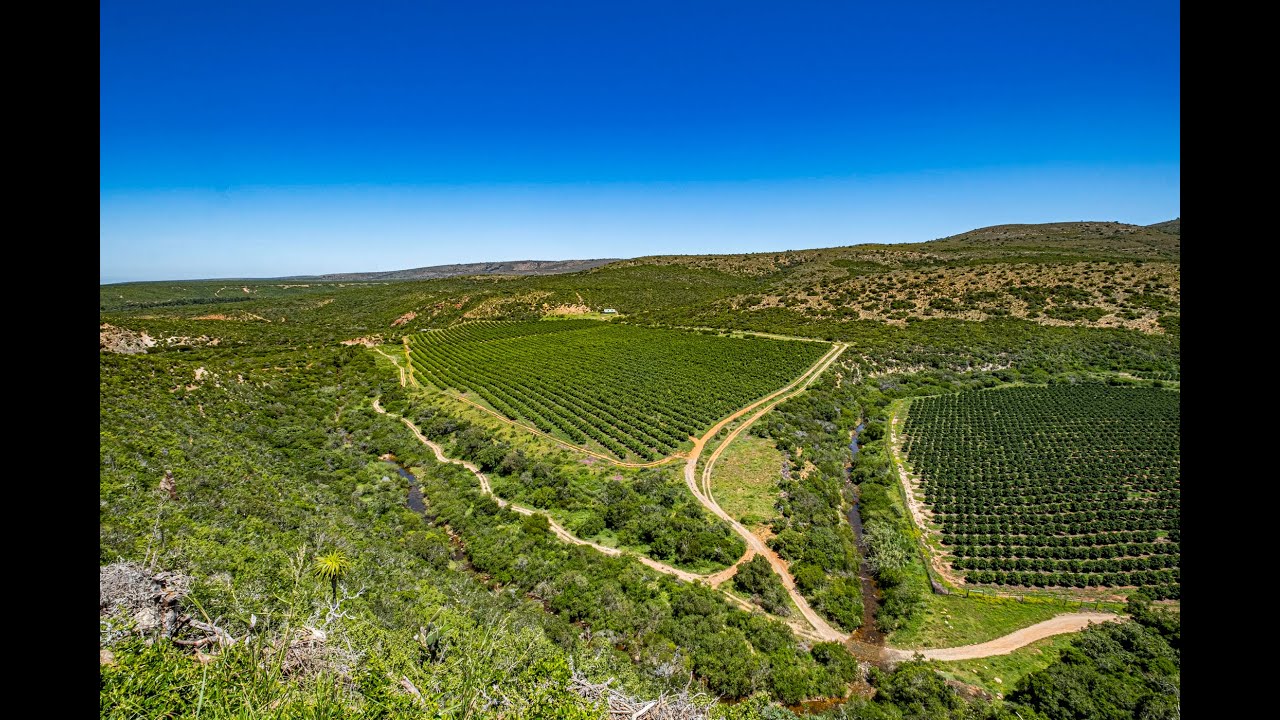 Farm 184 Addo | Video tour - YouTube