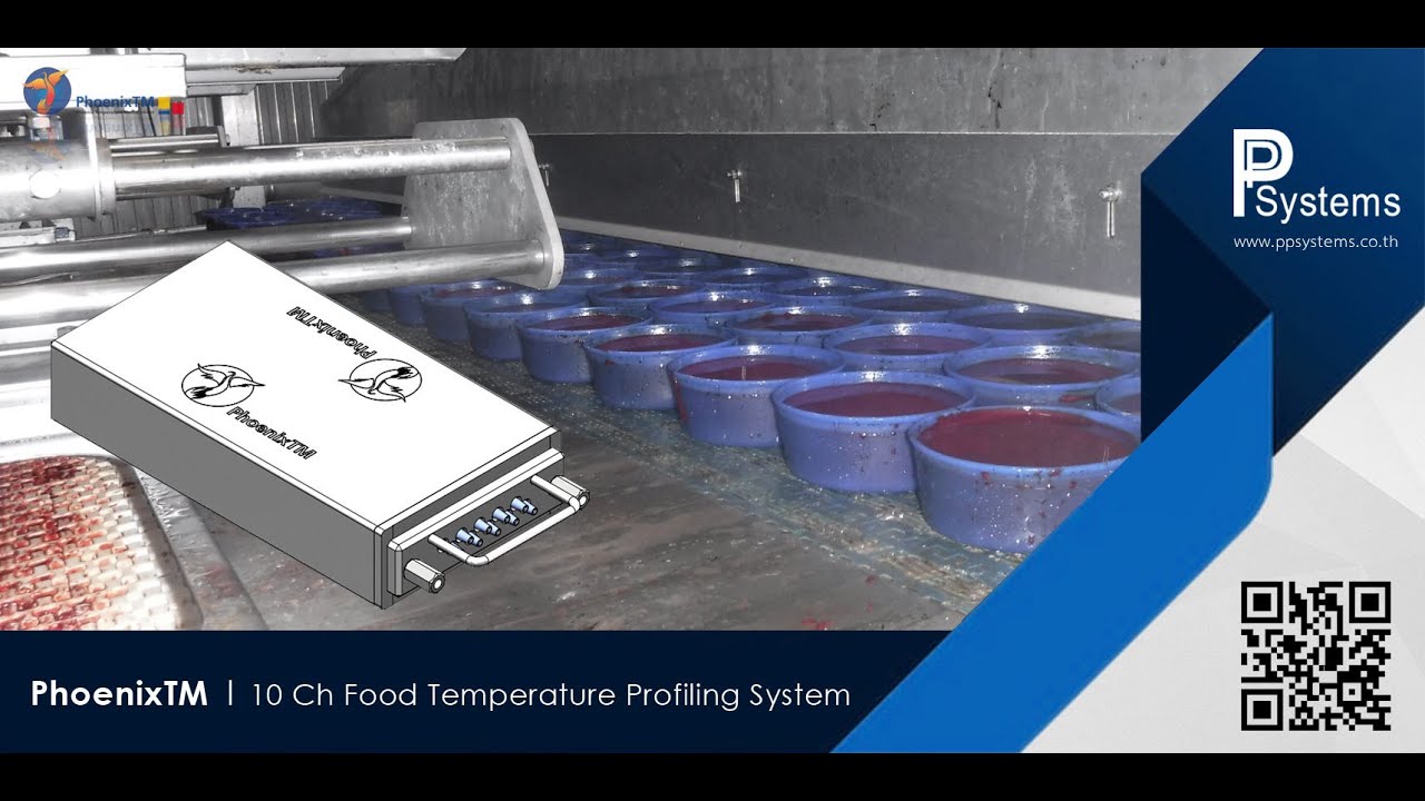 FOS-14-060-10 PhoenixTM 10 Ch Food Temperature Profile System - Special Jig Design 2.5m l PP ...