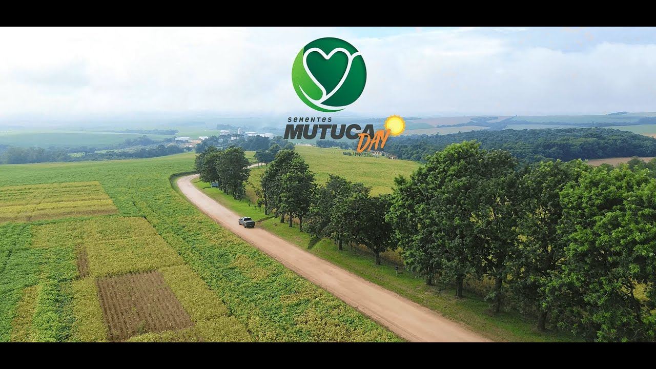 Mutuca Day 2025 - Sementes Mutuca - YouTube