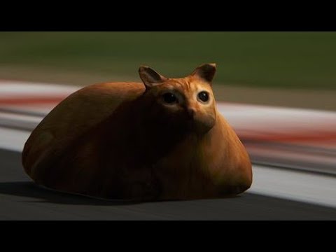 you can now race cats in assetto corsa - YouTube