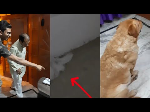 A Real Horror story based on true events😨 | Ghost caught in camera| Part-1 | Anant rastogi