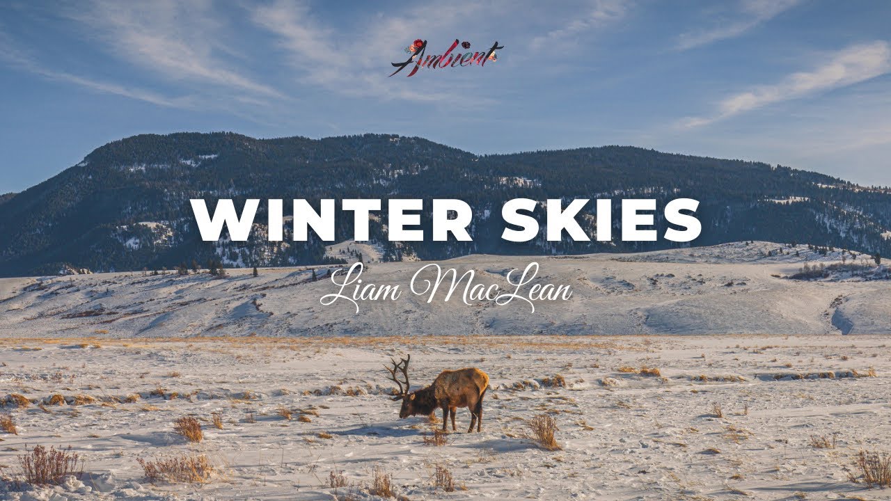Liam MacLean - Winter Skies [classical piano ambient] - YouTube