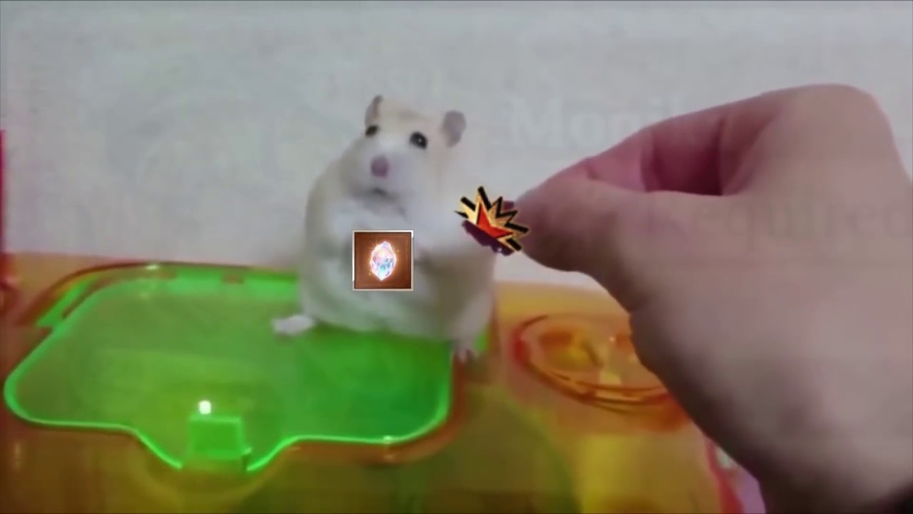 GBF I exchanged Sunlight Stone right before they announced Monika ...