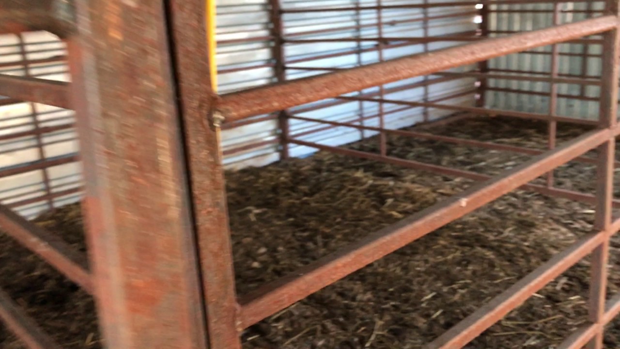 Finished Calving building update - YouTube