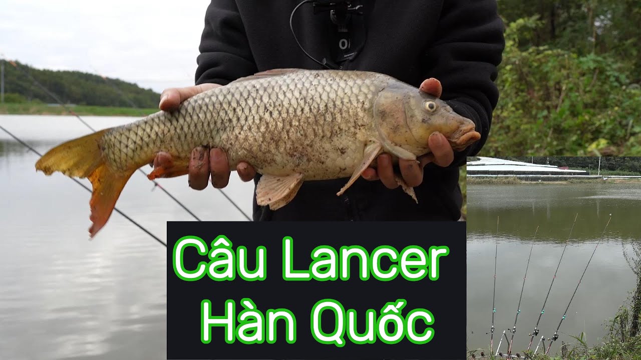 Câu lancer ở Hàn Quốc - YouTube