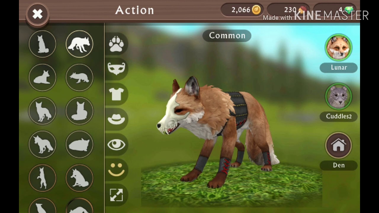 My wildcraft for a long time - YouTube