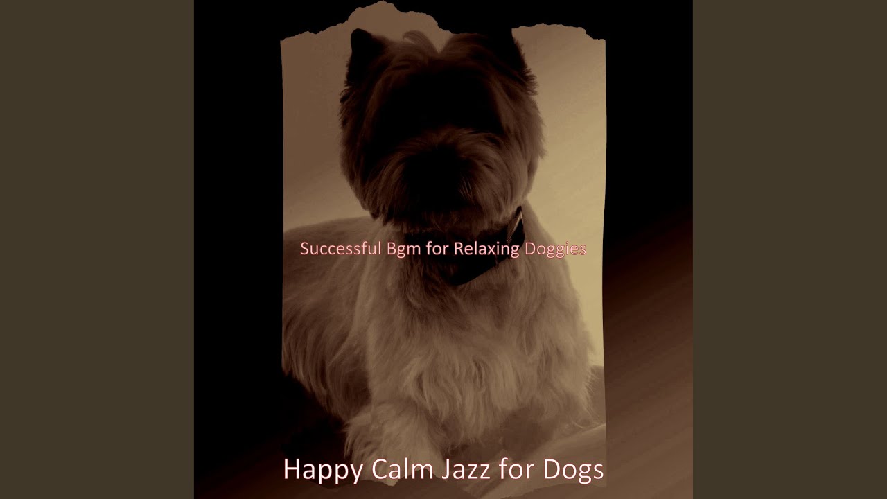 Happening Jazz Saxophone - Vibe for Calming Your Dog - YouTube