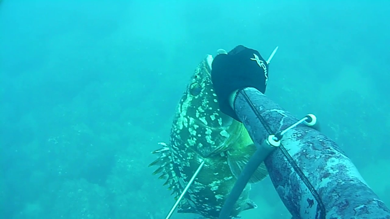 Spearfishing Cyprus Summer 2017 - Ψαροτουφεκο στην Κυπρο Καλοκαιρι 2017 ...