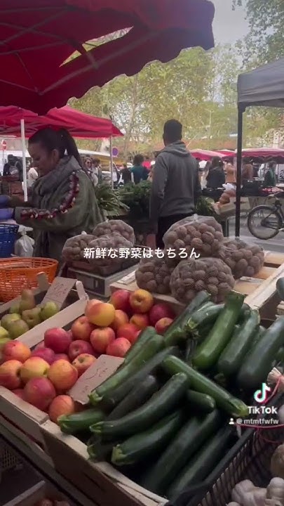 フランスのマルシェに行ってきたよ☀️新鮮な野菜がゲットできたり、食べ歩きできたりお祭りみたいで楽しい（╹ ╹） フランス Vlog フランス留学 交換留学 トゥールーズ Youtube