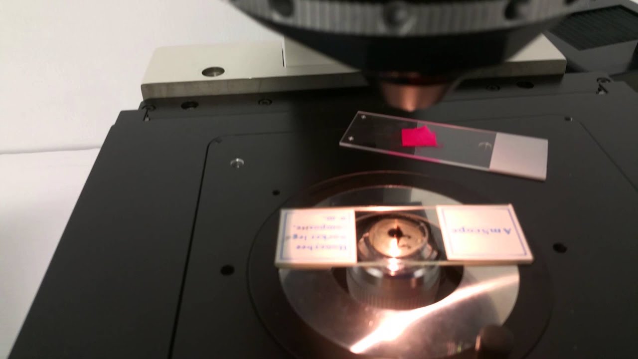 Leica DM IRB E Inverted Motorized Fluorescence Microscope DMIRBE pred ...