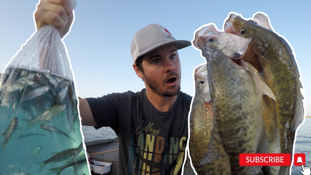 Minnow Fishing For SummerTime Crappie!!! ({How To Clean A Crappie ...