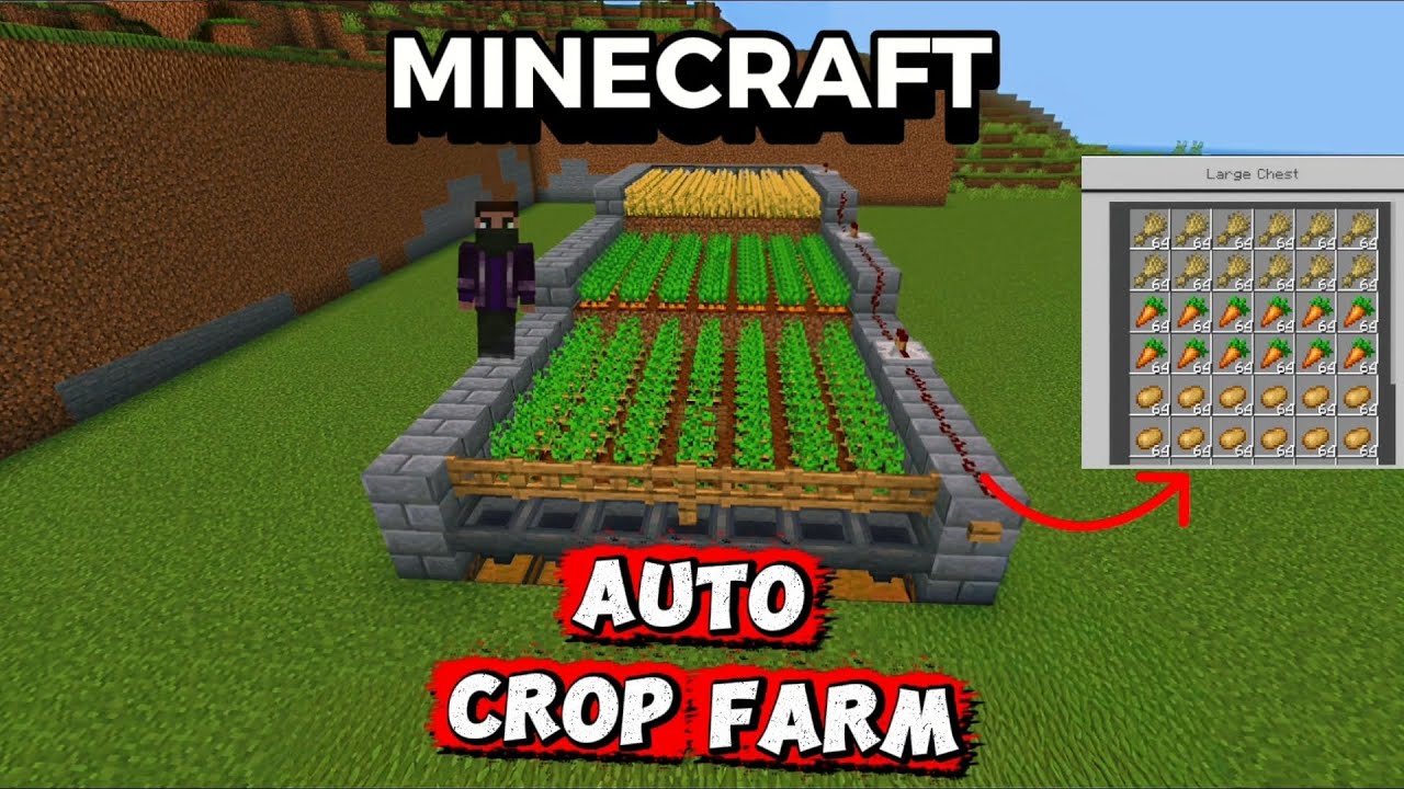 HOW TO BUILD AUTO CROP FARM 🌾 | #minecraft #farm #dreamboy #potato # ...