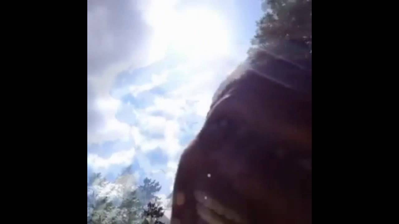 watermnelon inside a watermelon! (Frenetical mix) by Mister-Yo - YouTube