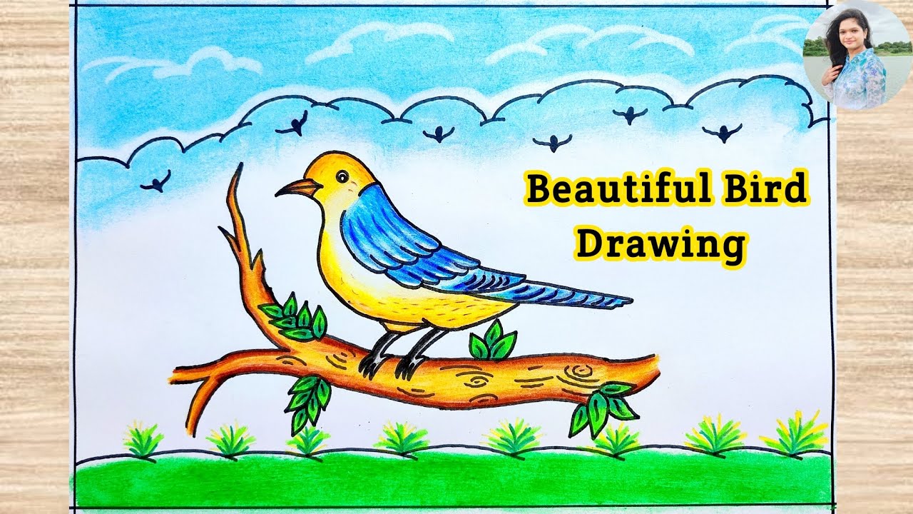Beautiful Bird Drawing Easy Step by Step For Beginners / Bird Scenery ...