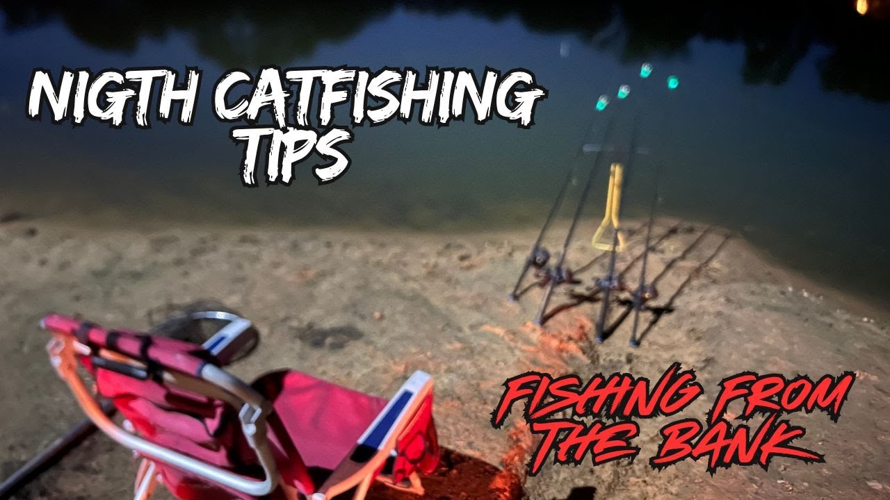 BEST NIGHT CATFISHING TIPS FISHING FROM THE BANK - YouTube