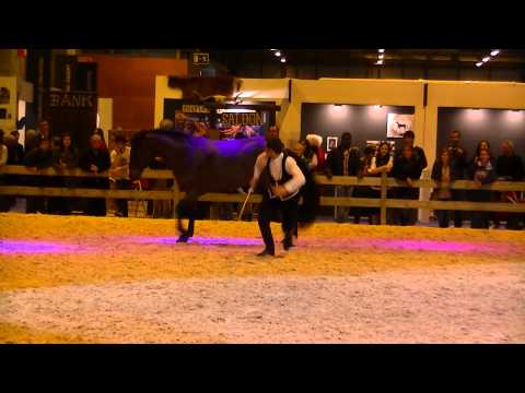 Doma en Libertad - Bococi Miron y Feeling