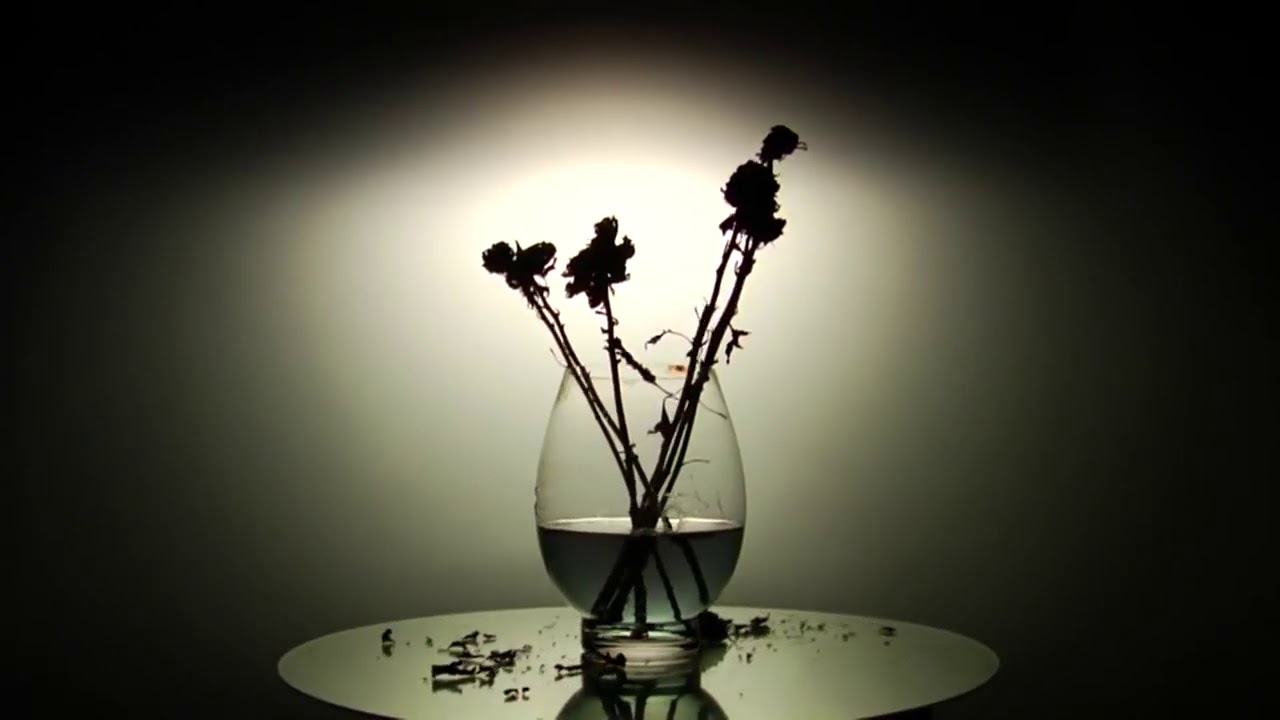 OneRepublic - Apologize(Official Video HD) - YouTube