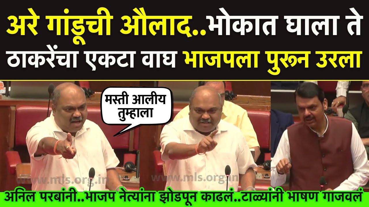 ठाकरेंचा एकटा वाघ भाजपला पुरून उरला, भाषण गाजवलं, सगळे बघतच राहिले ...